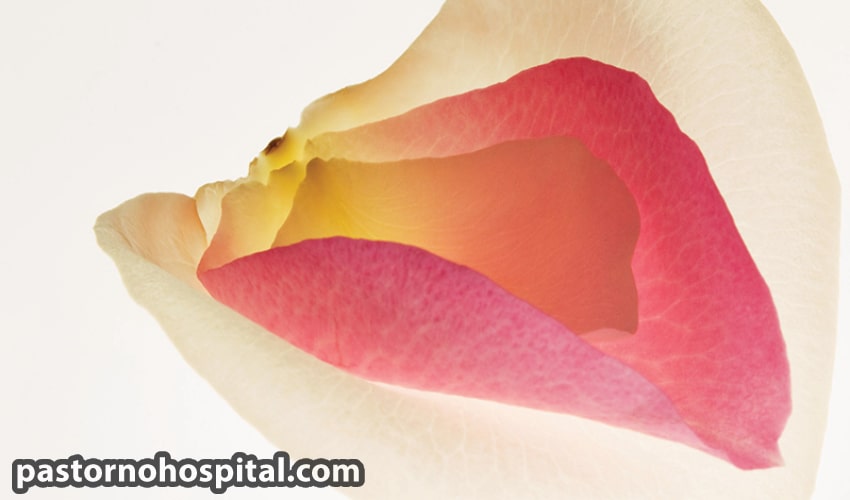 صفر تاصد لابیاپلاستی | مهمترین نکات عمل لابیاپلاستی